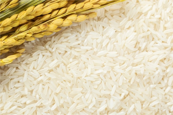 Horizontal Rice Whitener